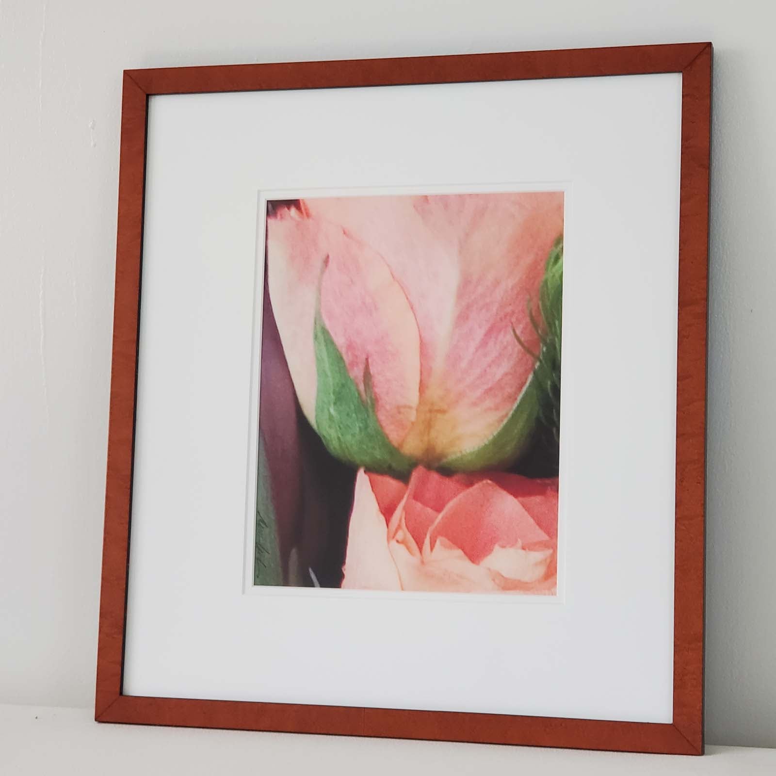 Framed Flower Photo 2 – Holly Compton Alderman Art Decor Collections